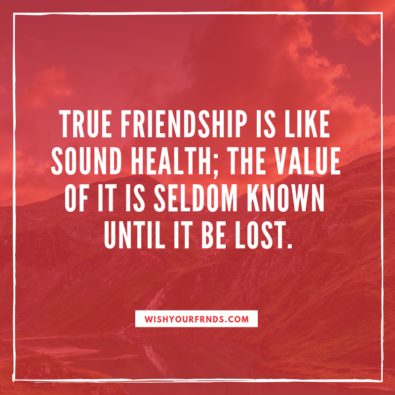 Top 10 Cute friendship status and top friendship quotes in 2023