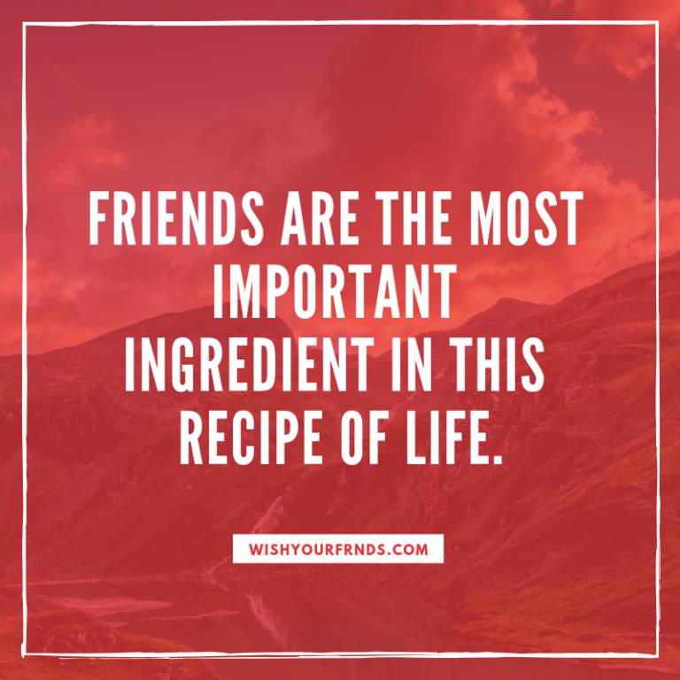 Top 10 Cute friendship status and top friendship quotes in 2023