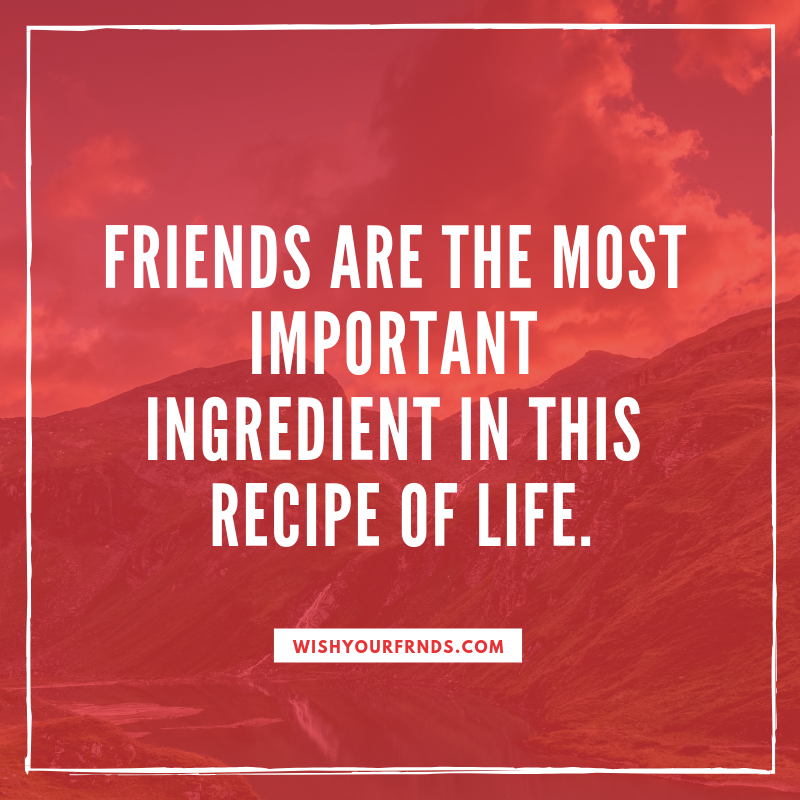 Top 10 Cute friendship status and top friendship quotes in 2023