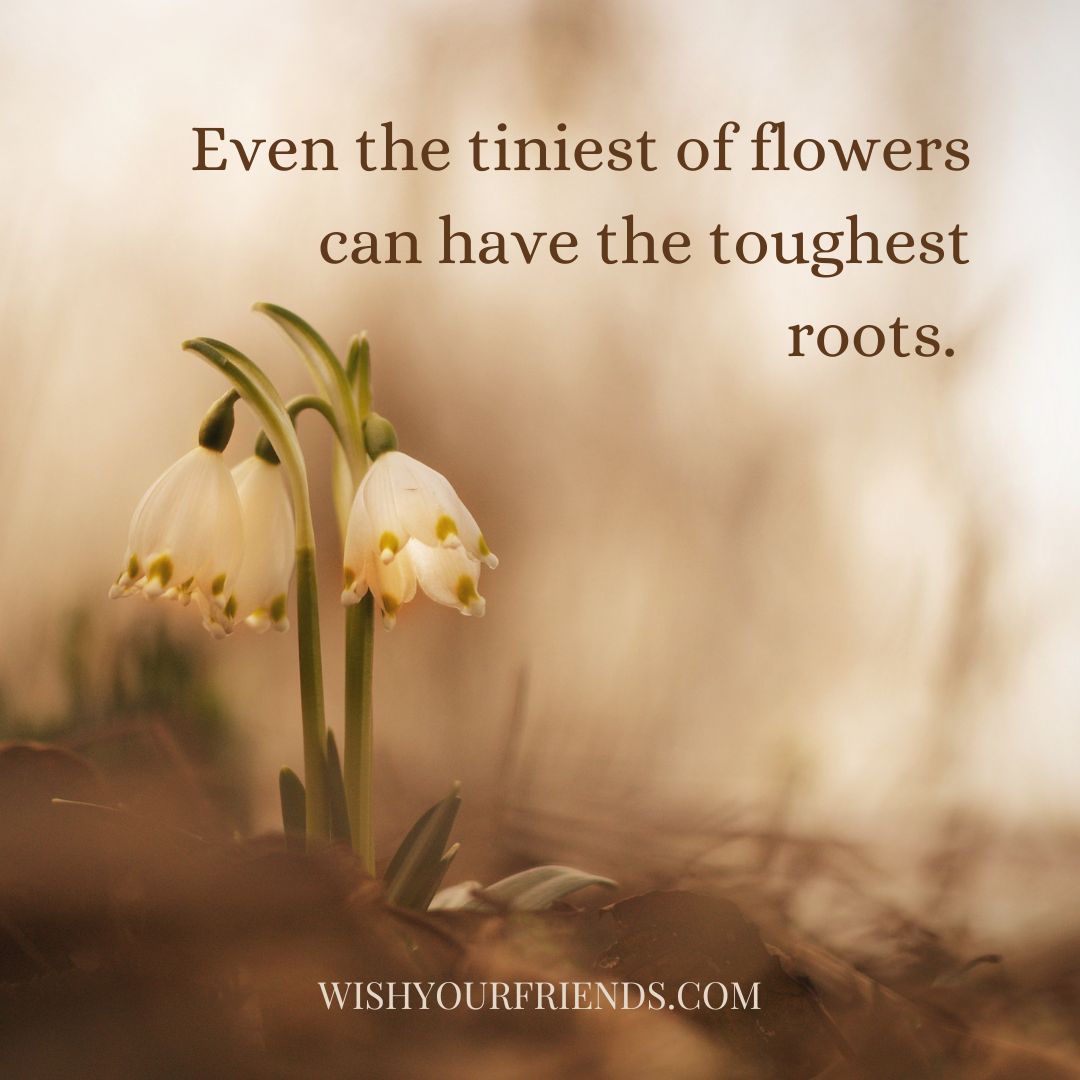 60 Top Wildflower Quotes - Wish Your Friends