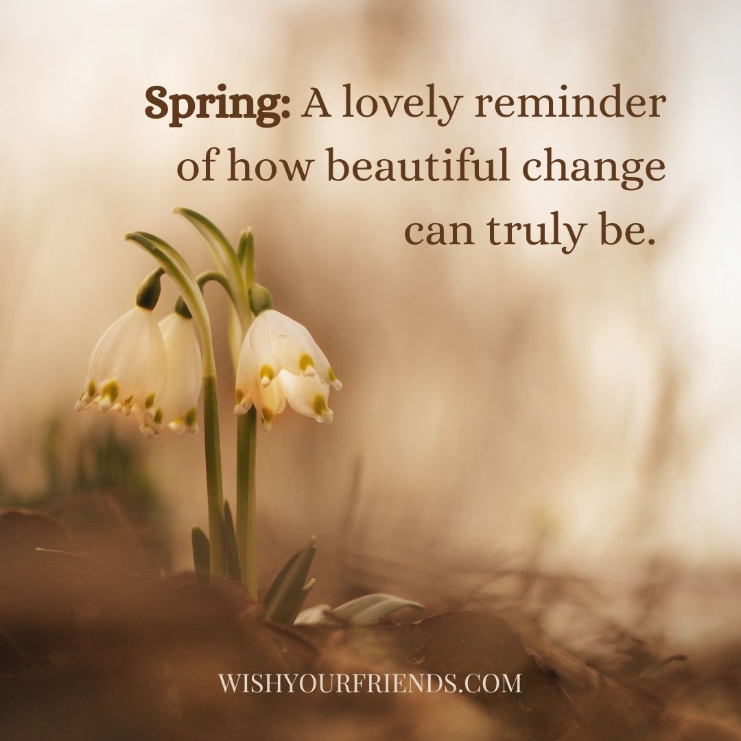 60 Top Wildflower Quotes - Wish Your Friends