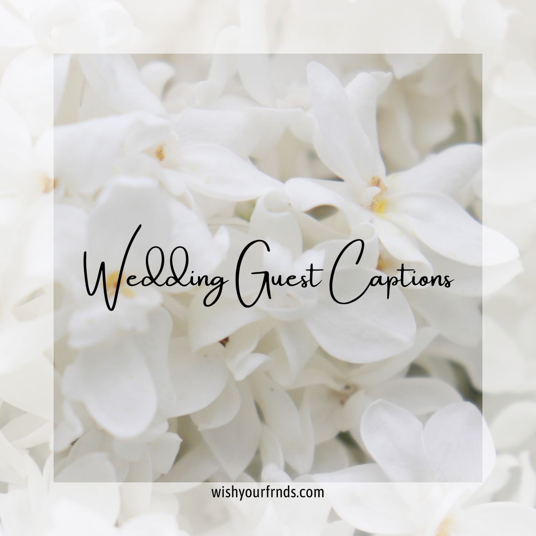 Top 10 Wedding Guest Captions Wish Your Friends Top 10 Wedding Guest Captions Wish Your Friends